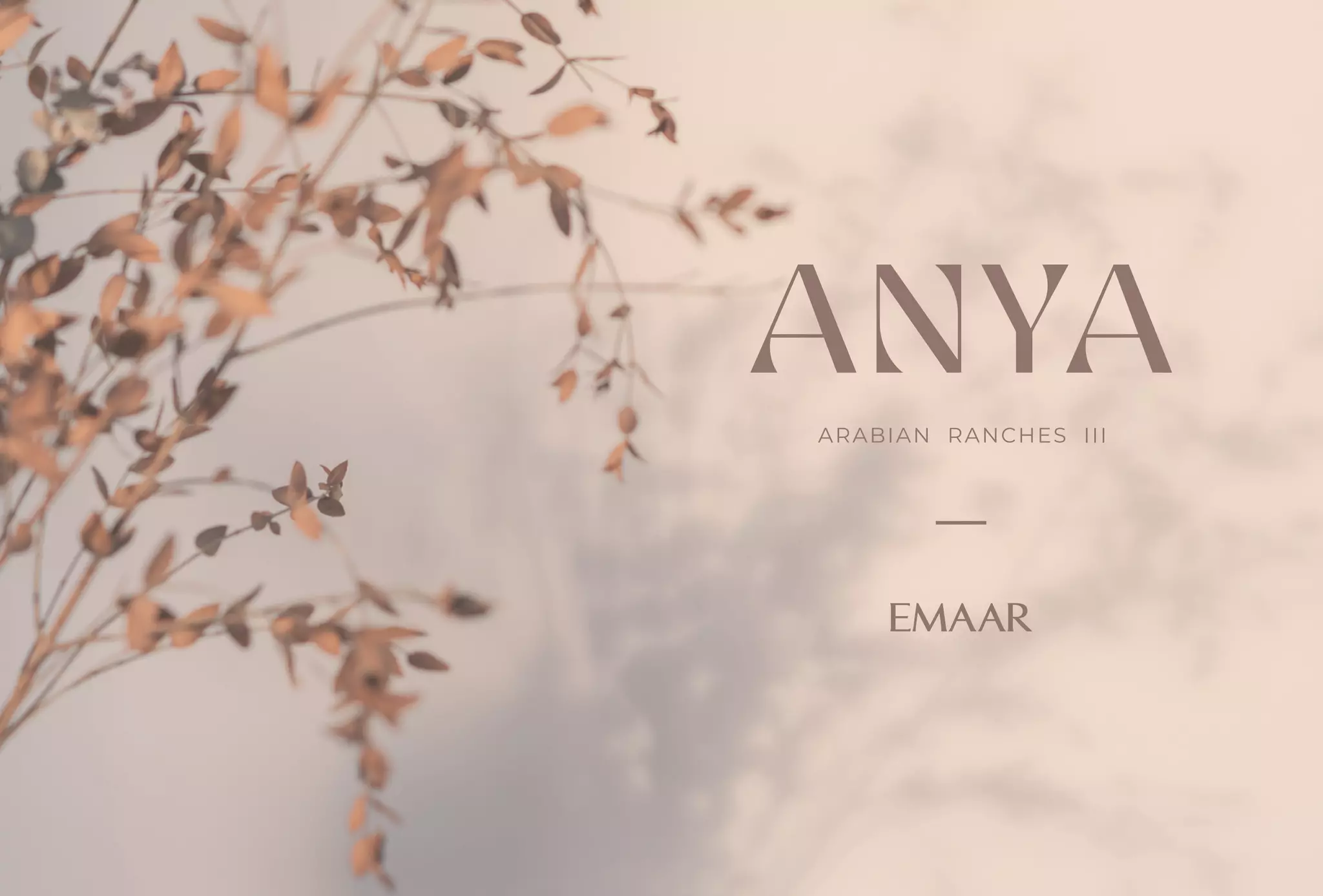 Anya Brochure - Arabian Ranches 3.pdf