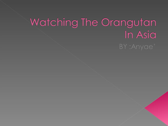 Anyae animal reasearch orangutans | PPT | Geology | Science