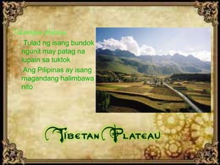 Anyong lupa at tubig - reports - quarter 1 - 3rd year | PPTX