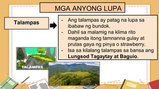 Anyong lupa sa komunidad | PDF