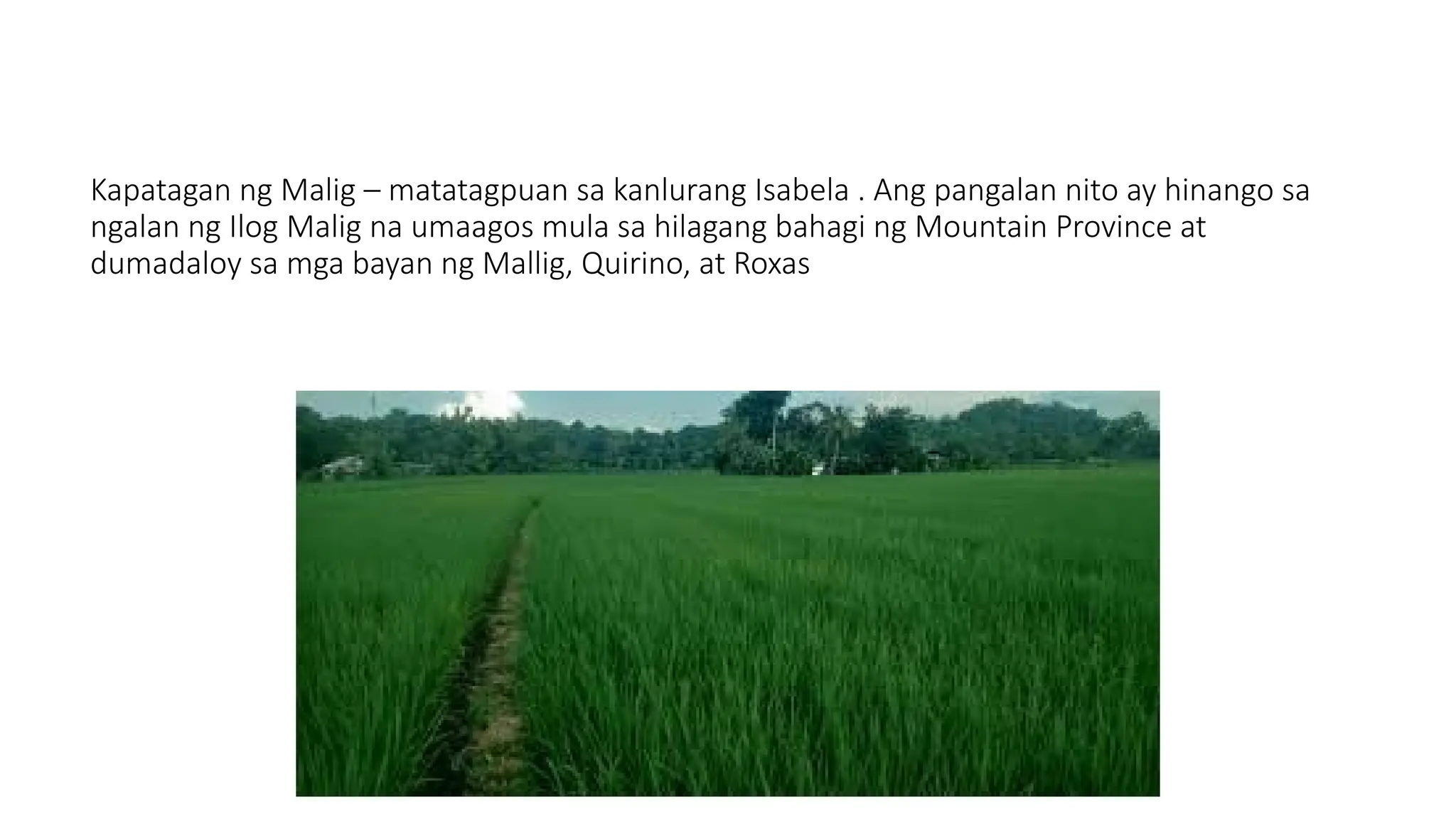 anyong lupa sa rehiyon II ( cagayan valley).pptx