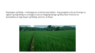 anyong lupa sa rehiyon II ( cagayan valley).pptx