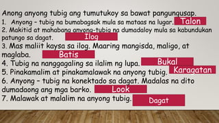 Anyong Tubig-1.pptx