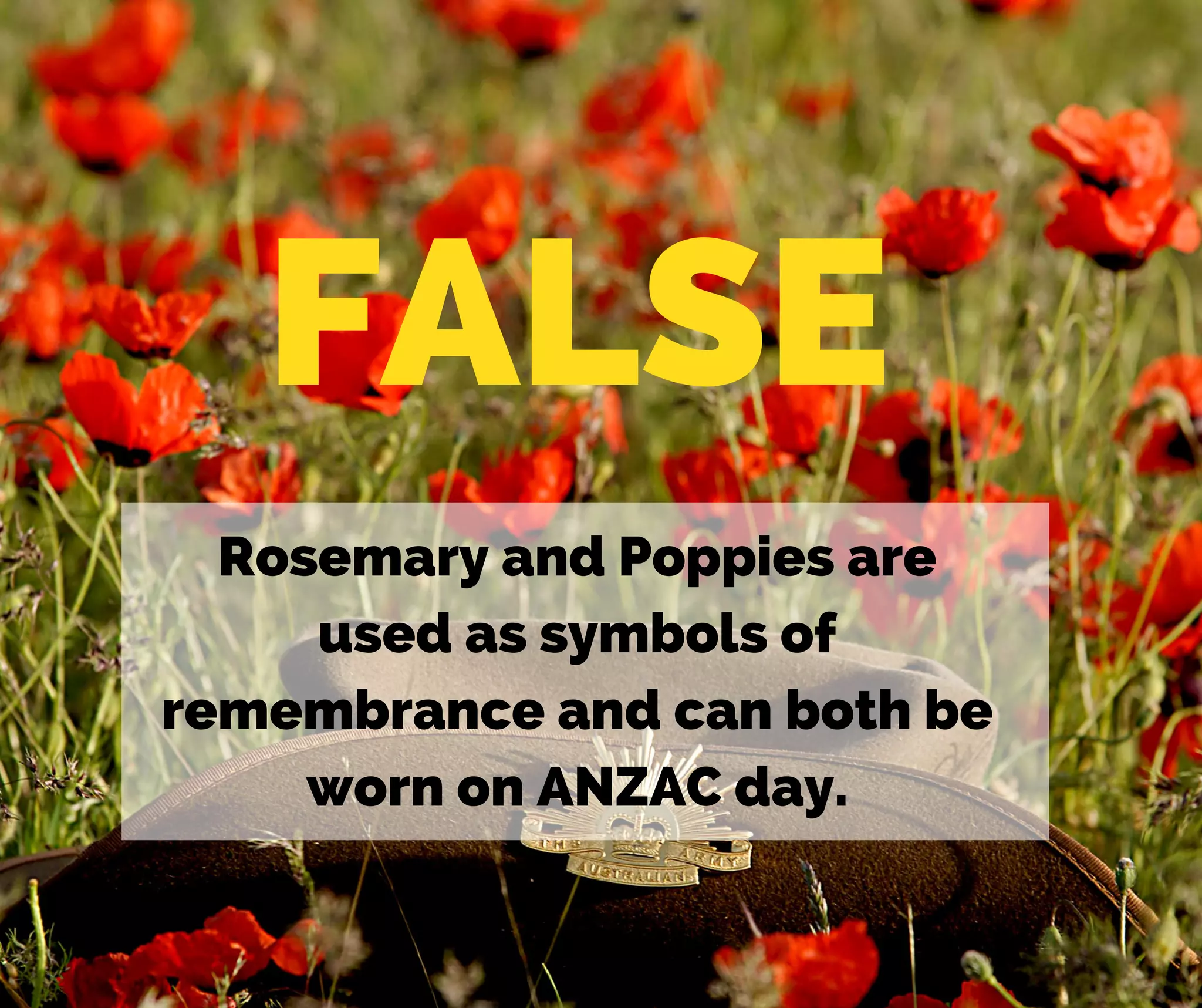 ANZAC Day Quiz | PDF