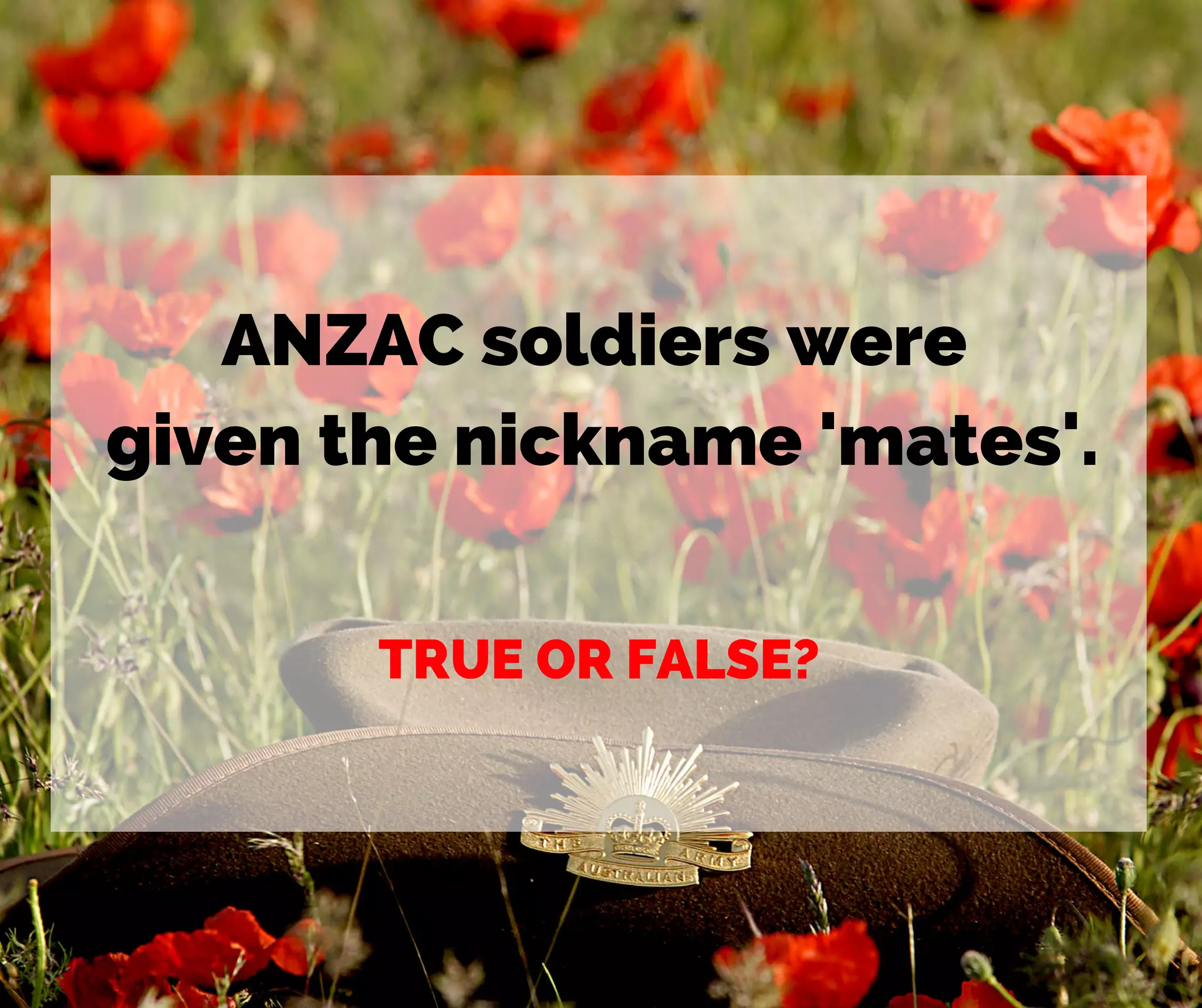 ANZAC Day Quiz | PDF