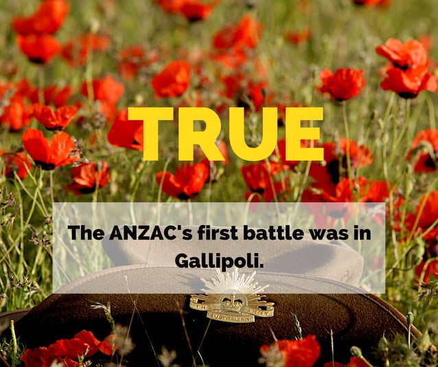 ANZAC Day Quiz | PDF