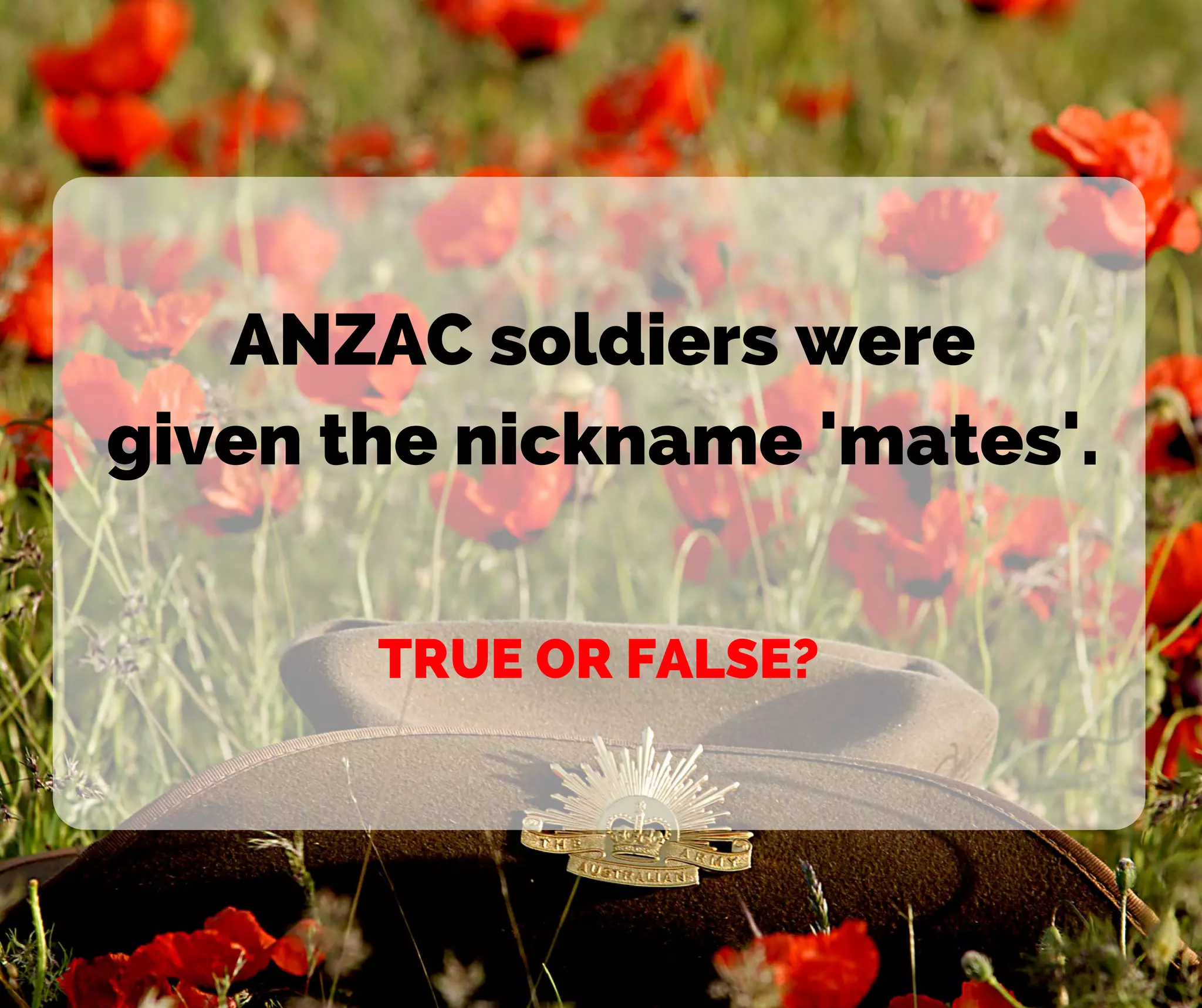 ANZAC Day School Slideshow | PPT