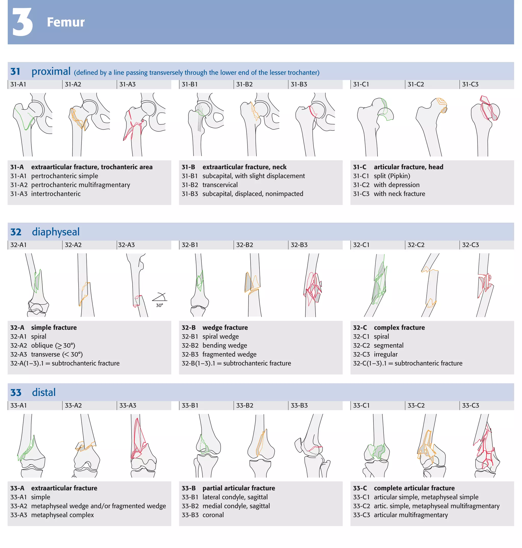 MULLER AO CLASSIFICATION | PDF