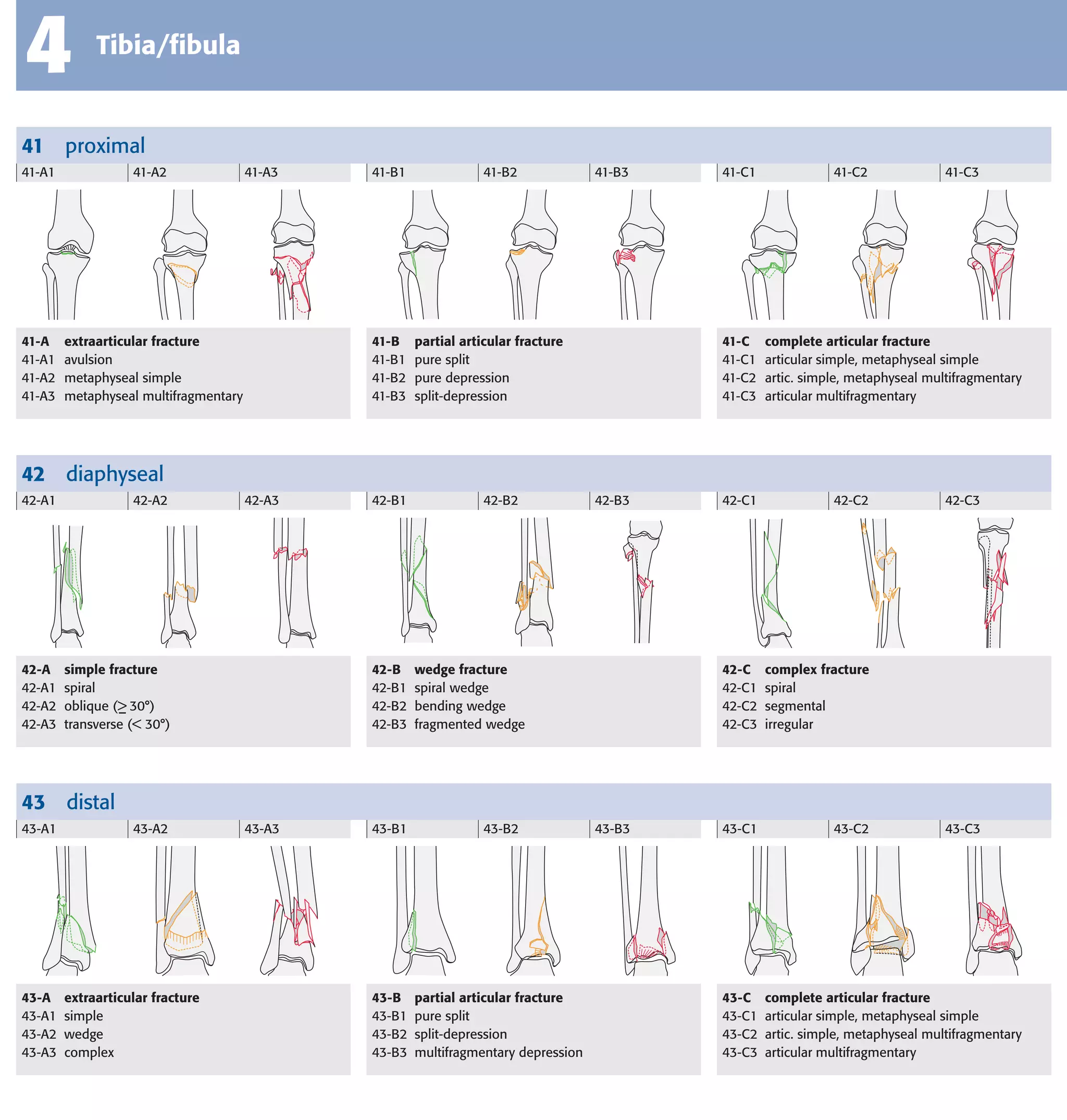 MULLER AO CLASSIFICATION | PDF