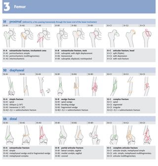 MULLER AO CLASSIFICATION | PDF