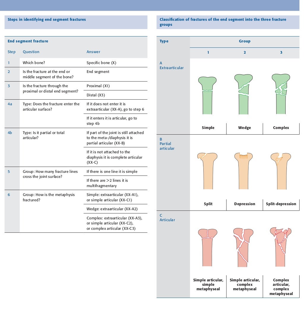 MULLER AO CLASSIFICATION