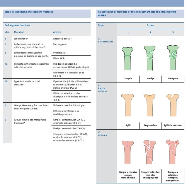 MULLER AO CLASSIFICATION