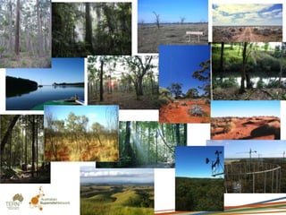 TERN Supersites and Carbon Monitoring_Mike Liddell | PPTX