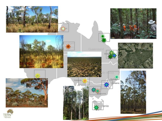 TERN Supersites and Carbon Monitoring_Mike Liddell | PPT