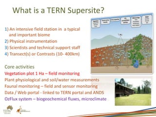 TERN Supersites and Carbon Monitoring_Mike Liddell | PPTX