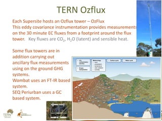 TERN Supersites and Carbon Monitoring_Mike Liddell | PPTX