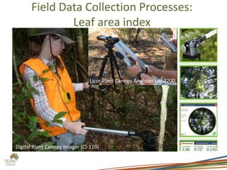 Remote sensing of biophysical parameters: linking field, airborne and continental scale data ...