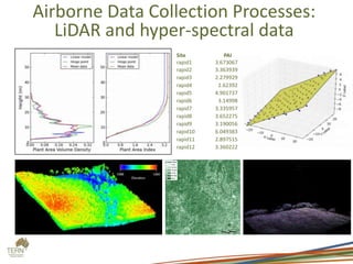 Remote sensing of biophysical parameters: linking field, airborne and continental scale data ...