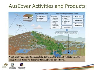 Remote sensing of biophysical parameters: linking field, airborne and continental scale data ...
