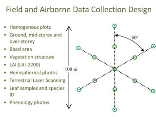 Remote sensing of biophysical parameters: linking field, airborne and continental scale data ...