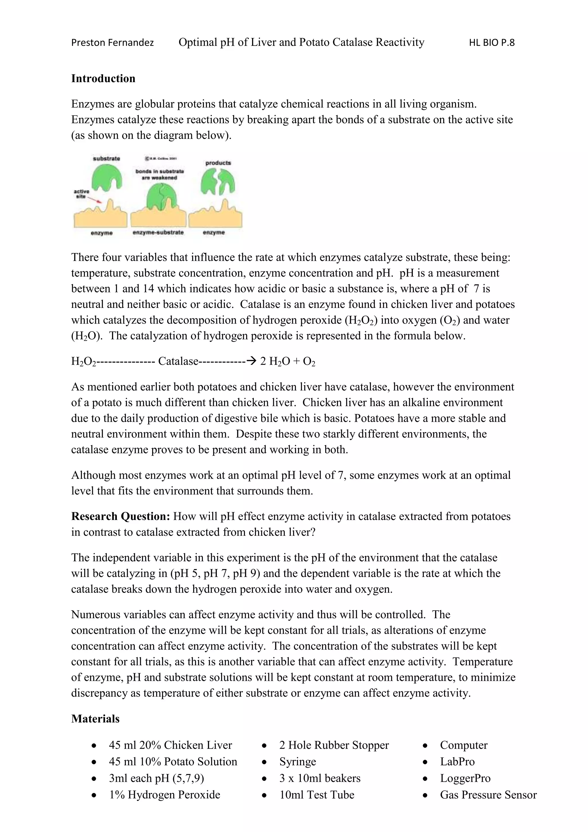 Ao k human and natural sciences - enzyme lab | DOCX