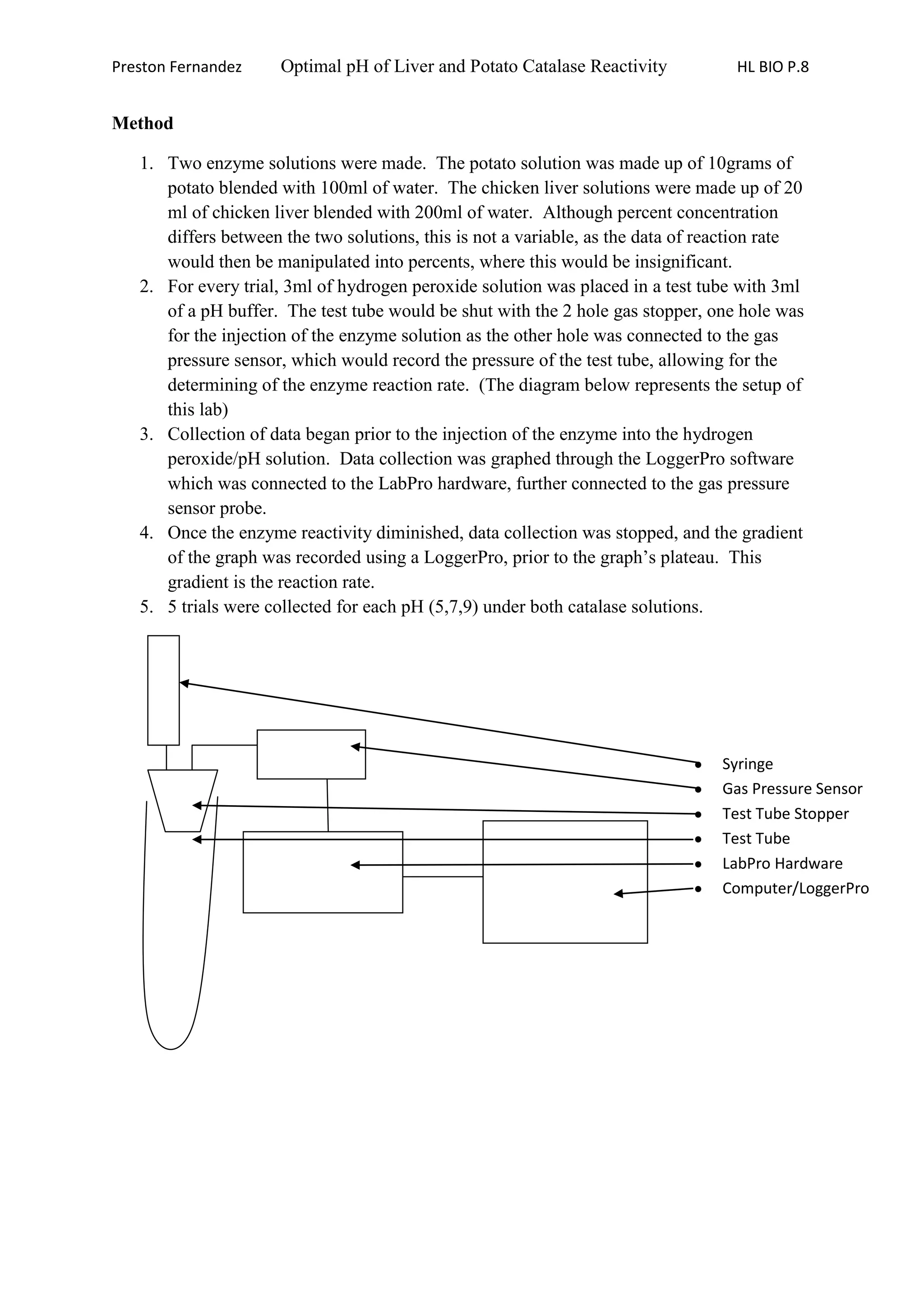Ao k human and natural sciences - enzyme lab | DOCX