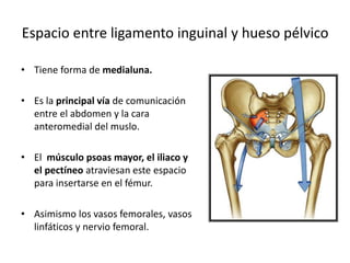 Agujero Ciático Menor