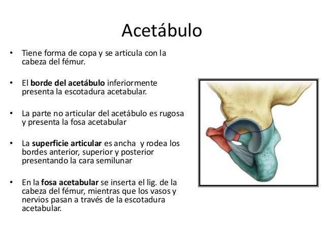 CLASE 28