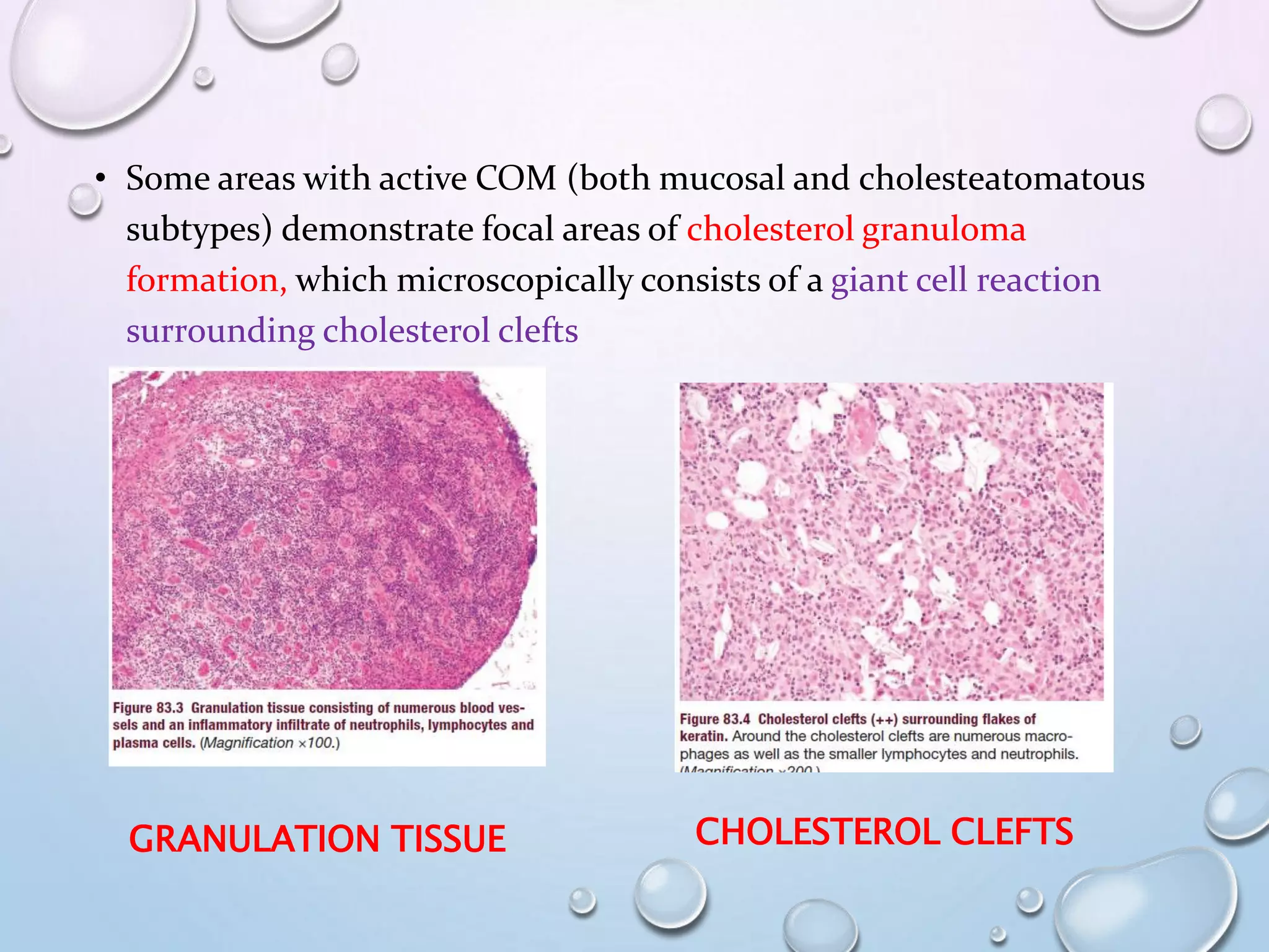 Aom,ome,com copy | PPT