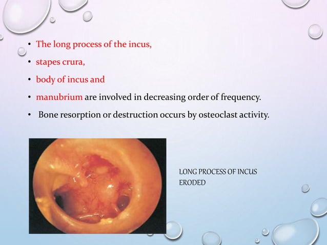 Aom,ome,com copy | PPT