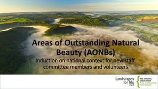 AONB National Induction 2020 | PDF