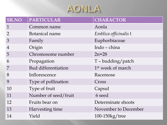 Aonla | PPTX | Gardening | Home & Garden