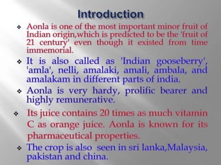Aonla | PPTX