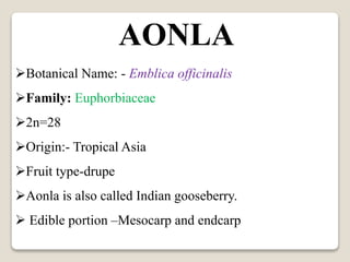 Aonla ppt by pushpendra singh | PPTX