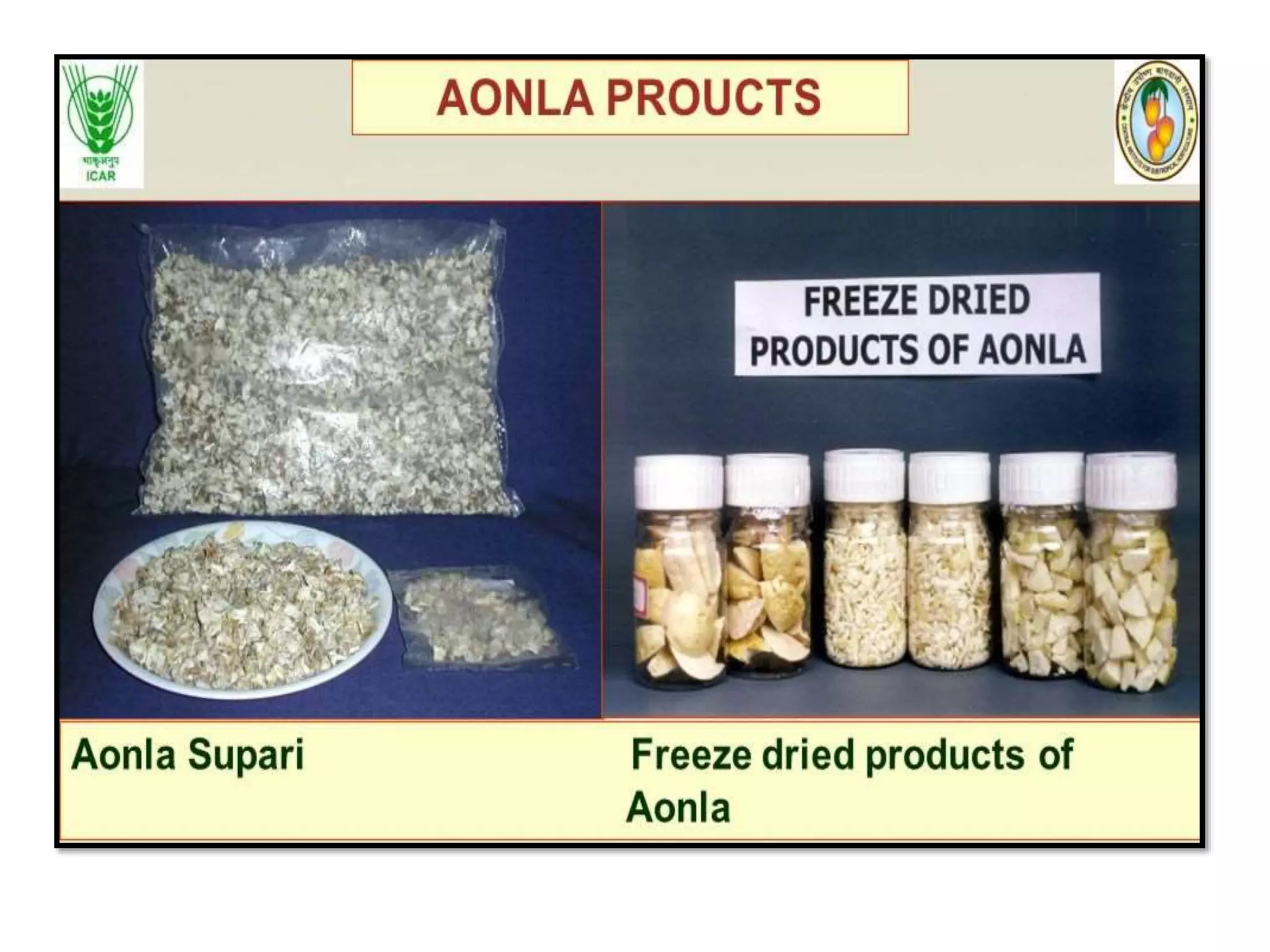 Aonla production technology | PPTX