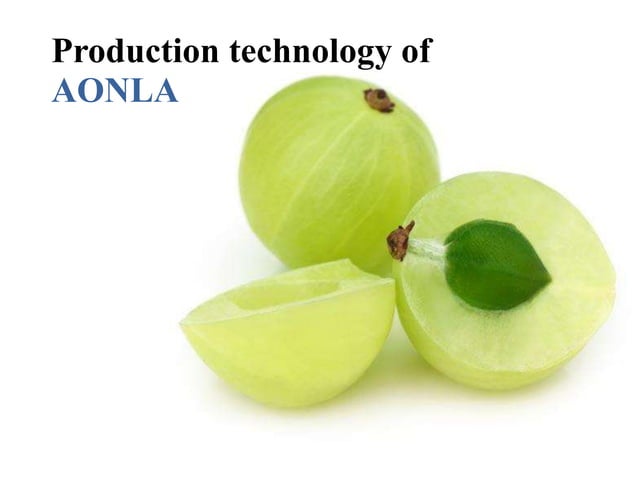 Aonla production technology | PPTX | Gardening | Home & Garden