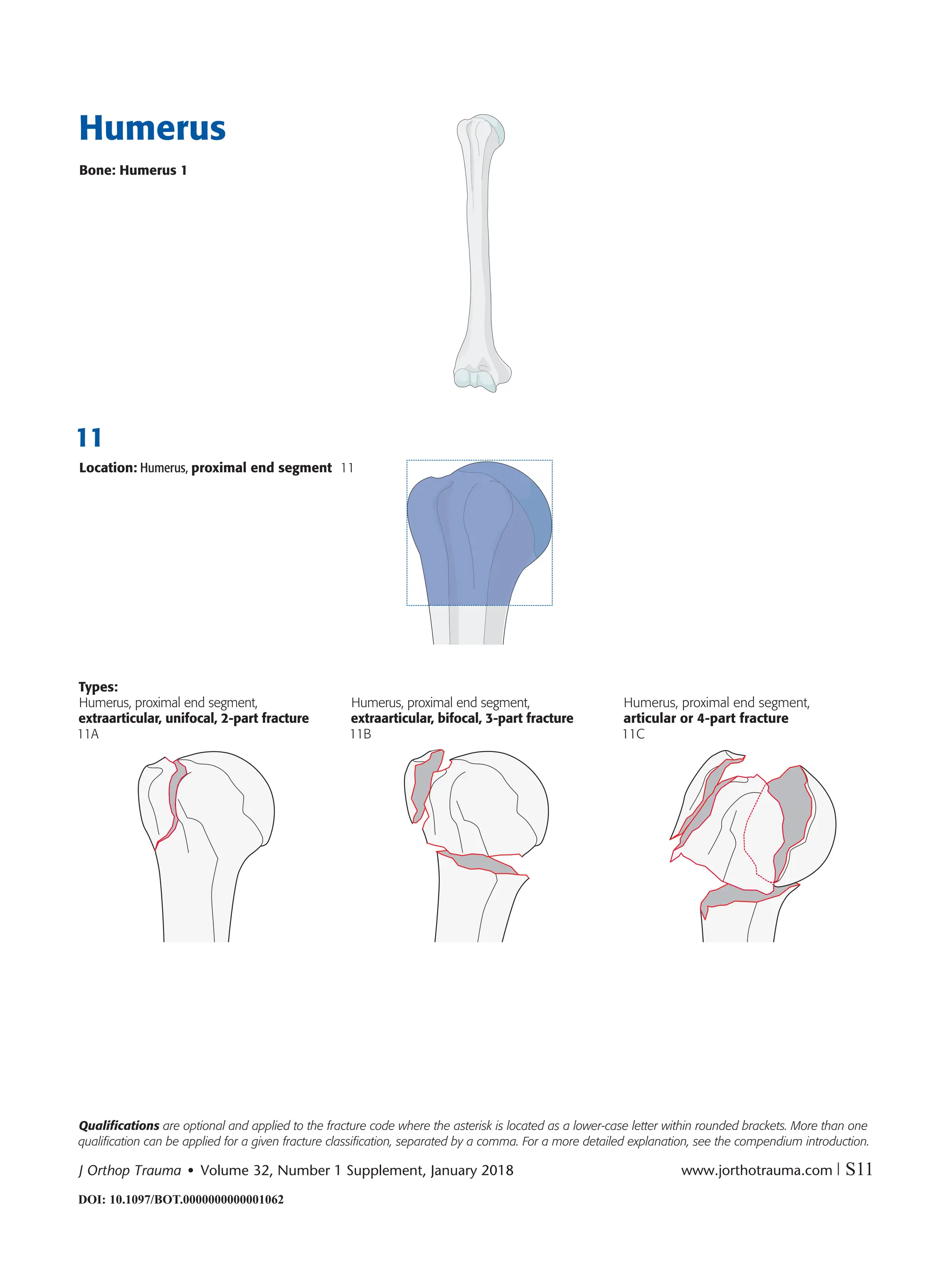 AOOTA_Classification_2018_Compendium clasificacion ao de fracturas en ...