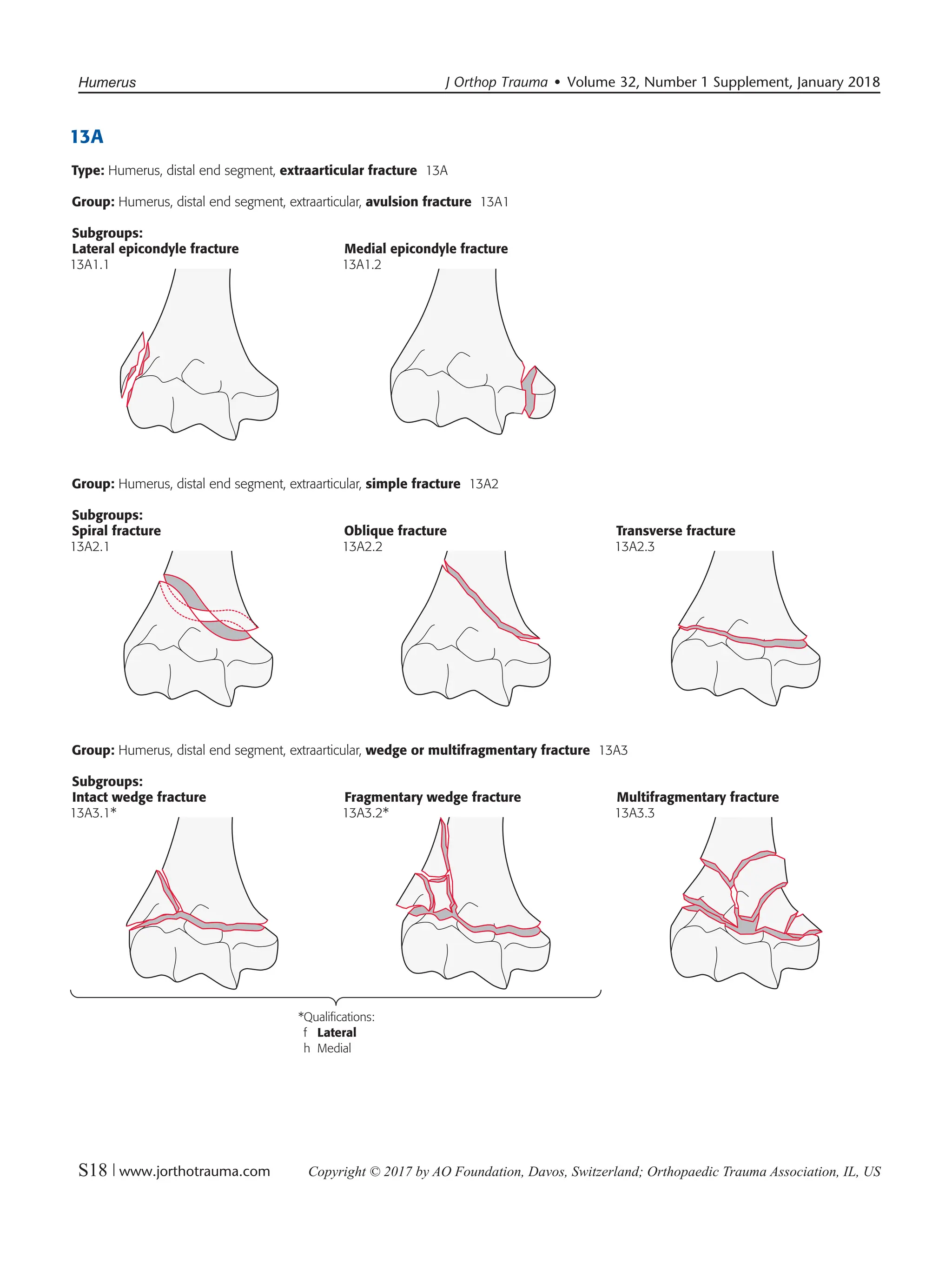 AOOTA_Classification_2018_Compendium clasificacion ao de fracturas en ...