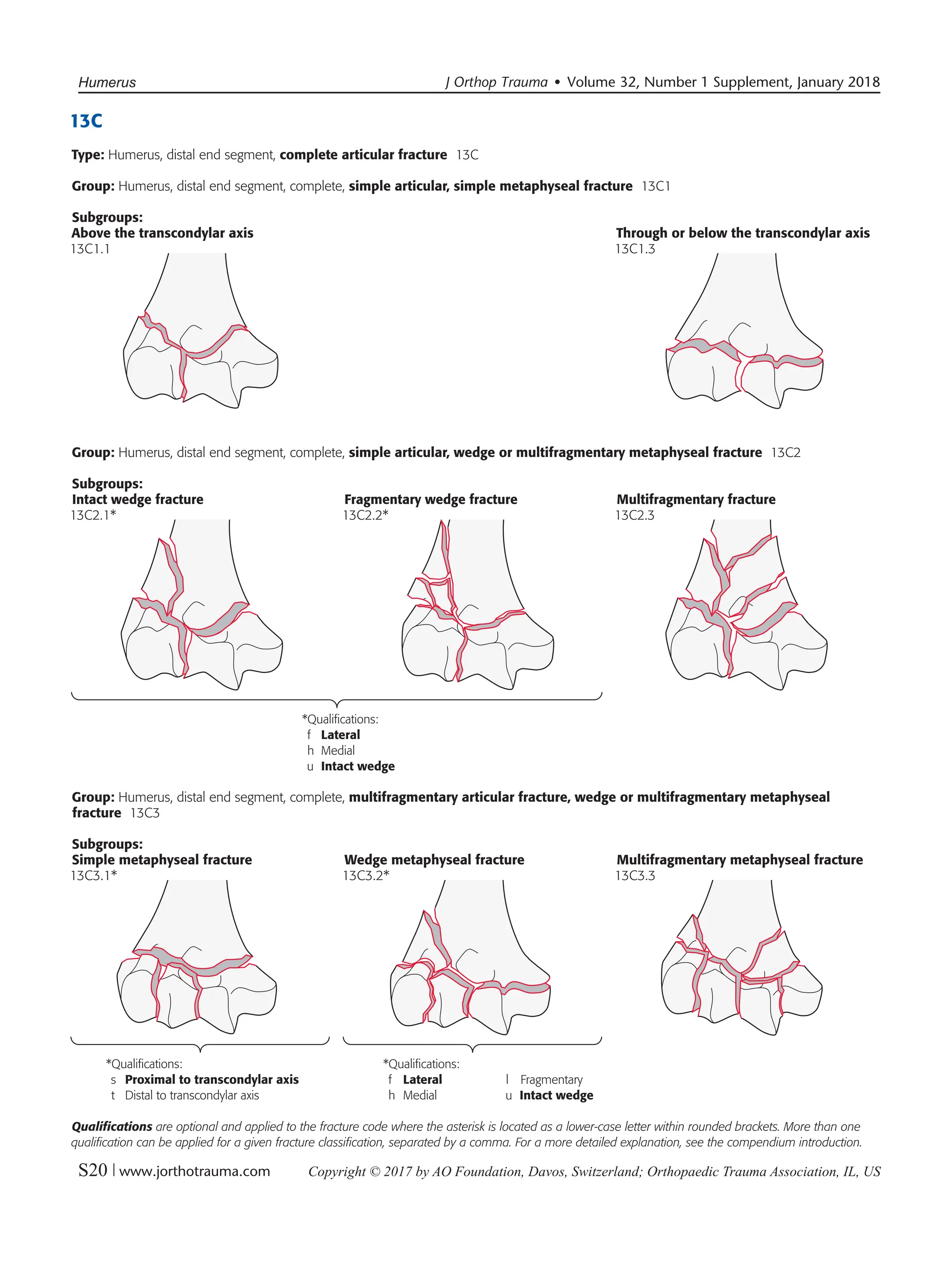 AOOTA_Classification_2018_Compendium clasificacion ao de fracturas en ...