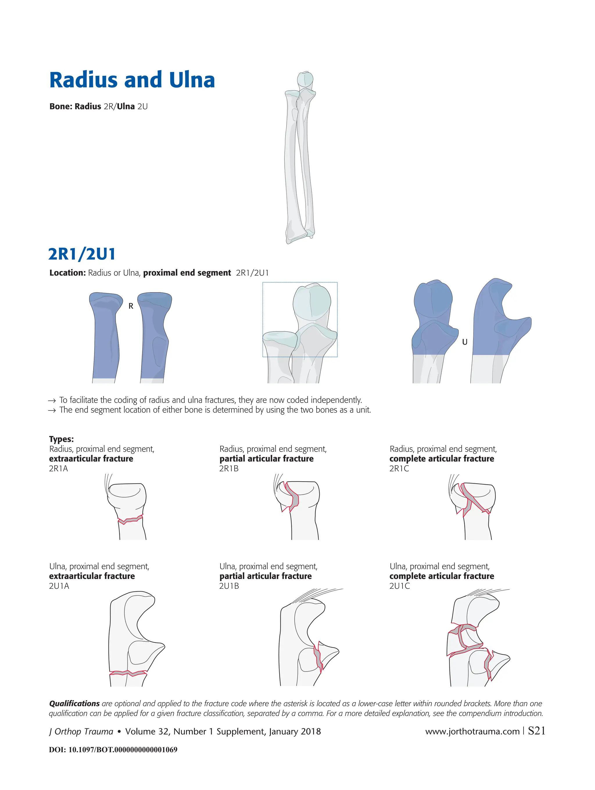AOOTA_Classification_2018_Compendium clasificacion ao de fracturas en ...
