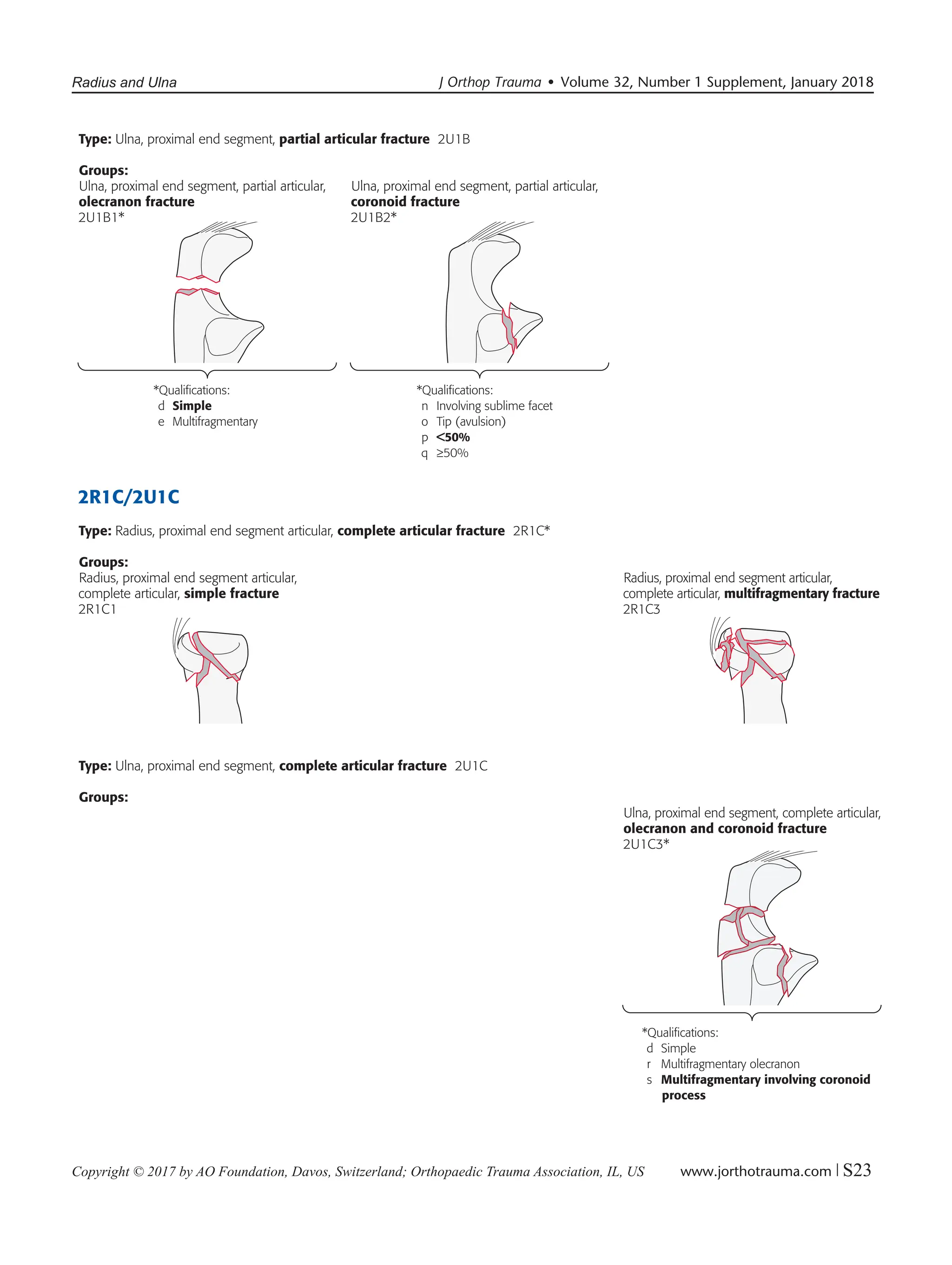 AOOTA_Classification_2018_Compendium clasificacion ao de fracturas en ...