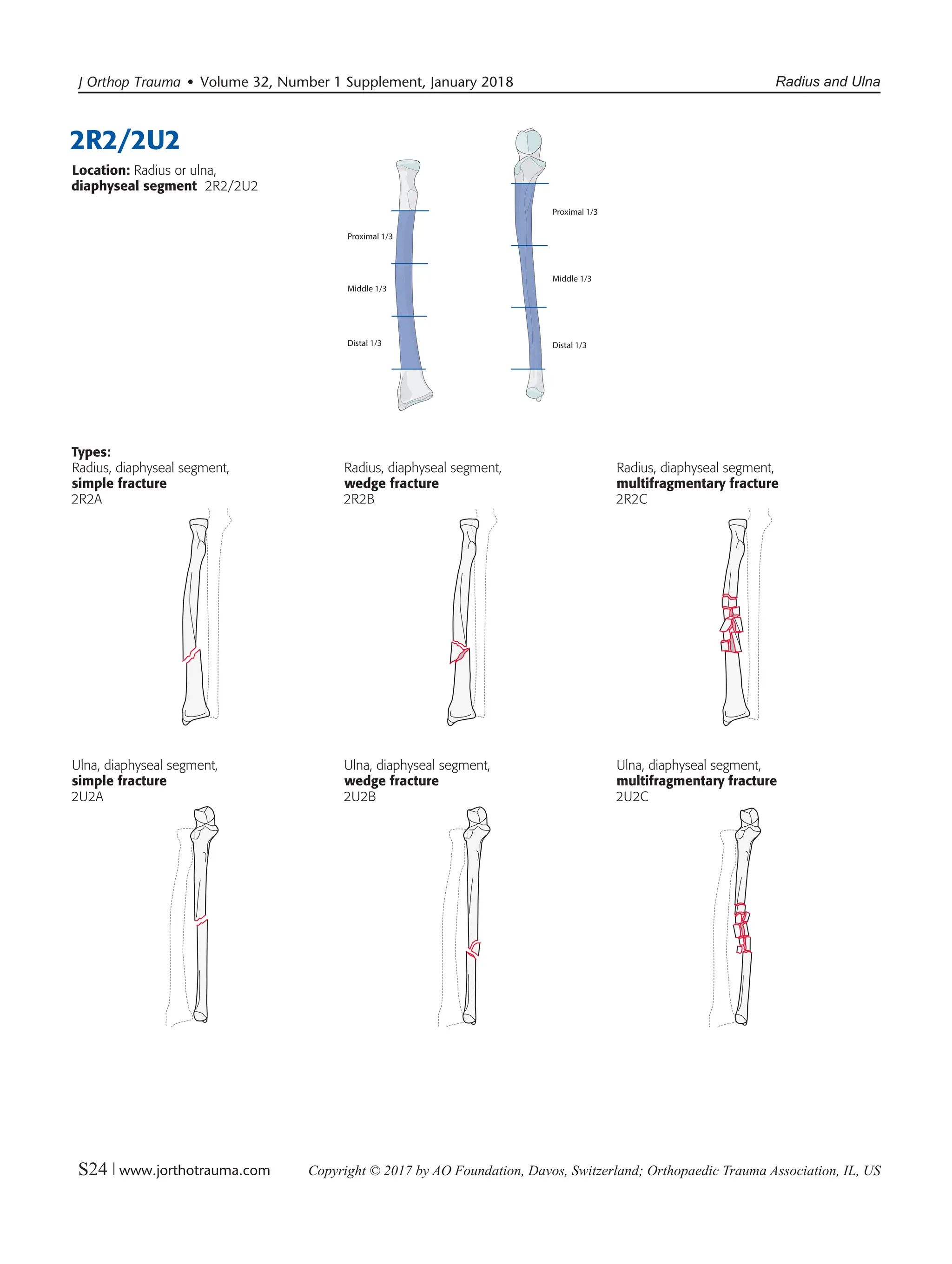 AOOTA_Classification_2018_Compendium clasificacion ao de fracturas en ...