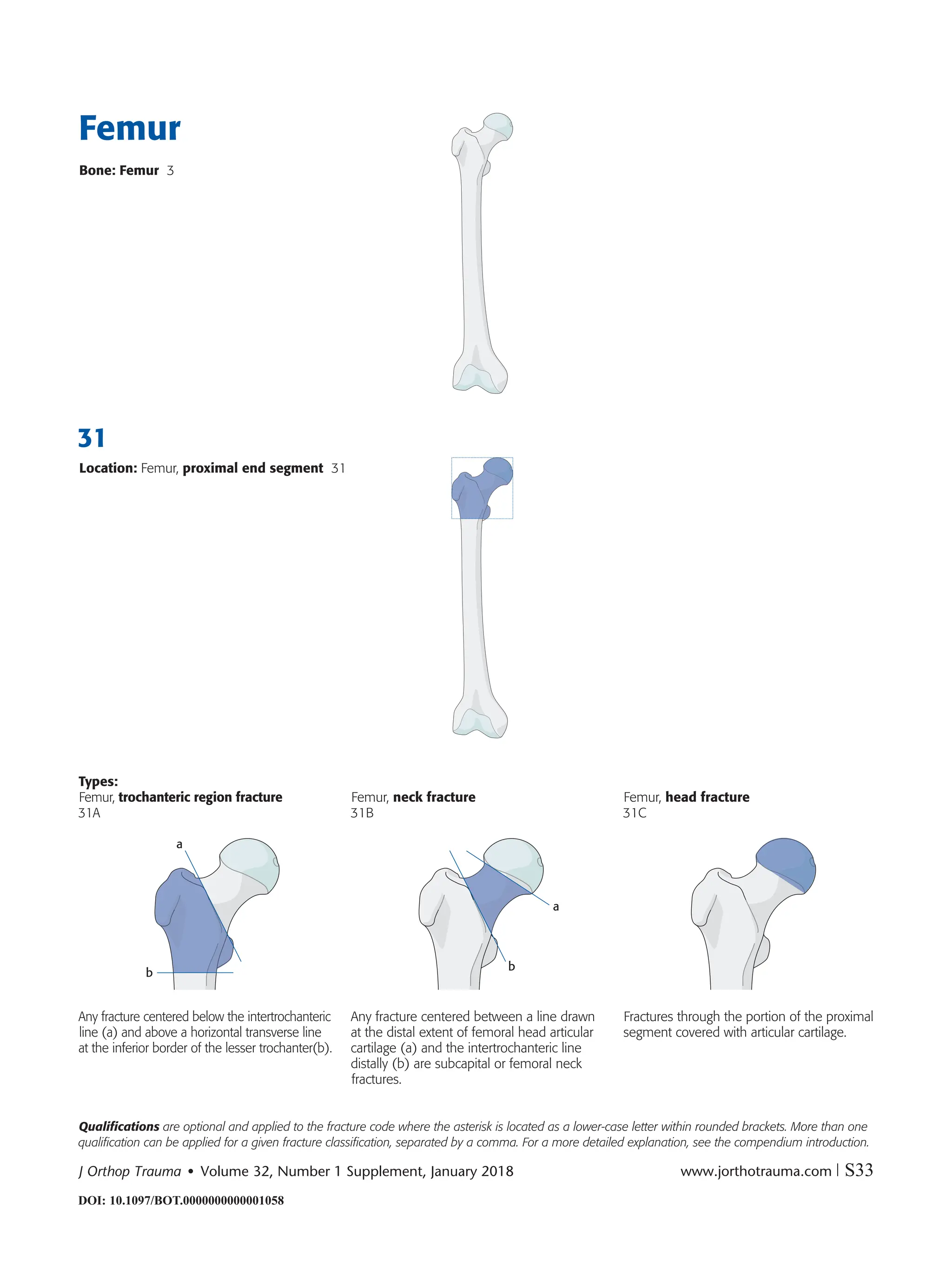AOOTA_Classification_2018_Compendium clasificacion ao de fracturas en ...