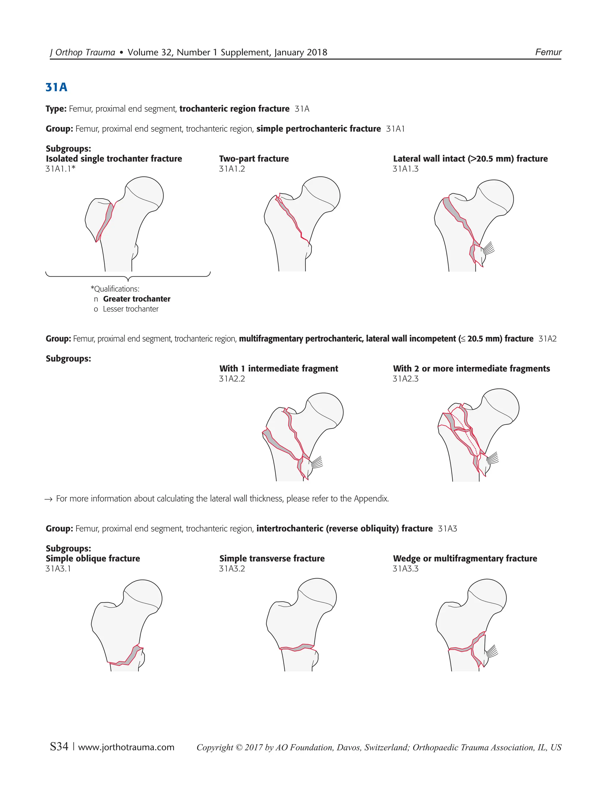 AOOTA_Classification_2018_Compendium clasificacion ao de fracturas en ...