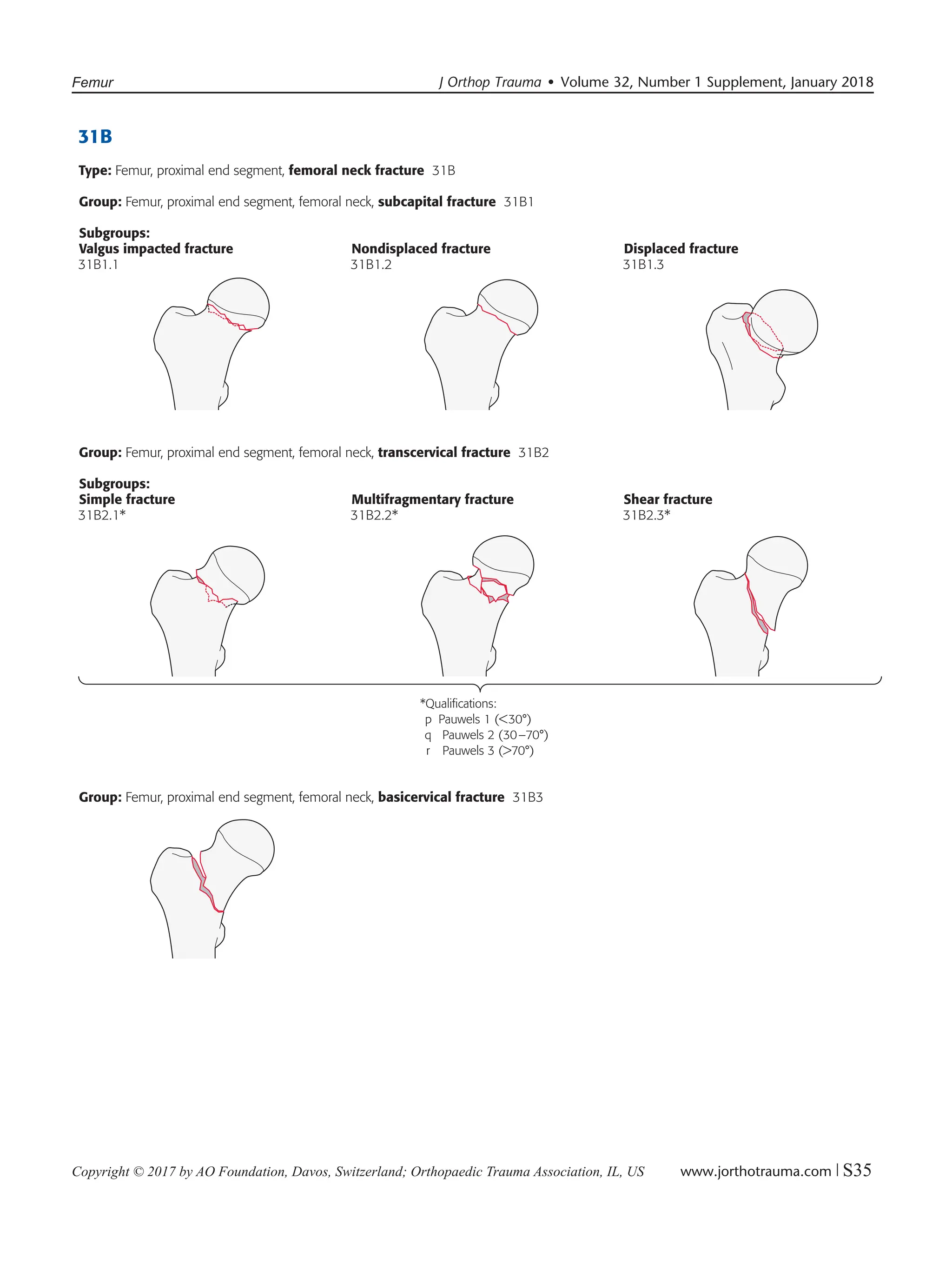 AOOTA_Classification_2018_Compendium clasificacion ao de fracturas en ...