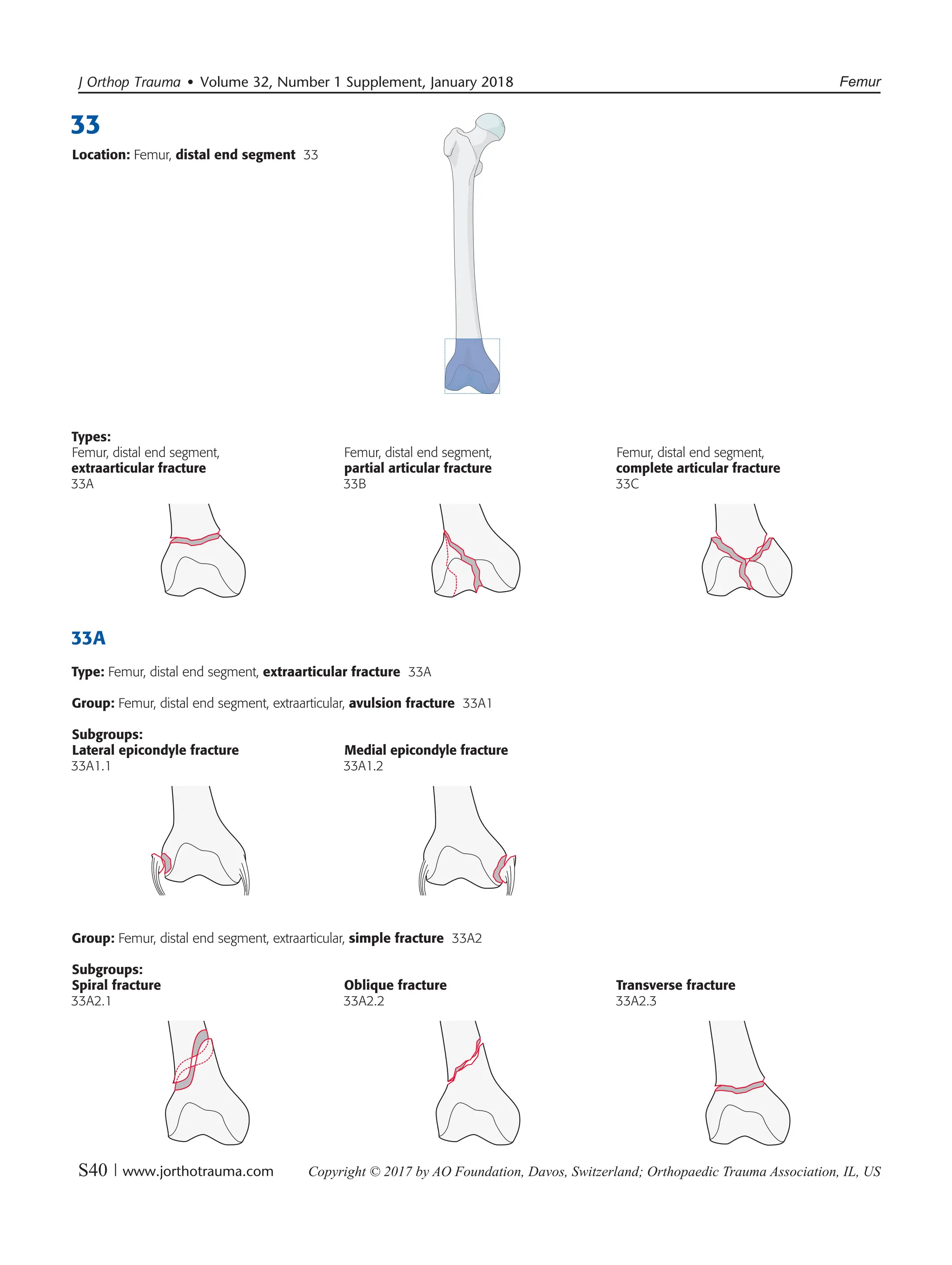 AOOTA_Classification_2018_Compendium clasificacion ao de fracturas en ...