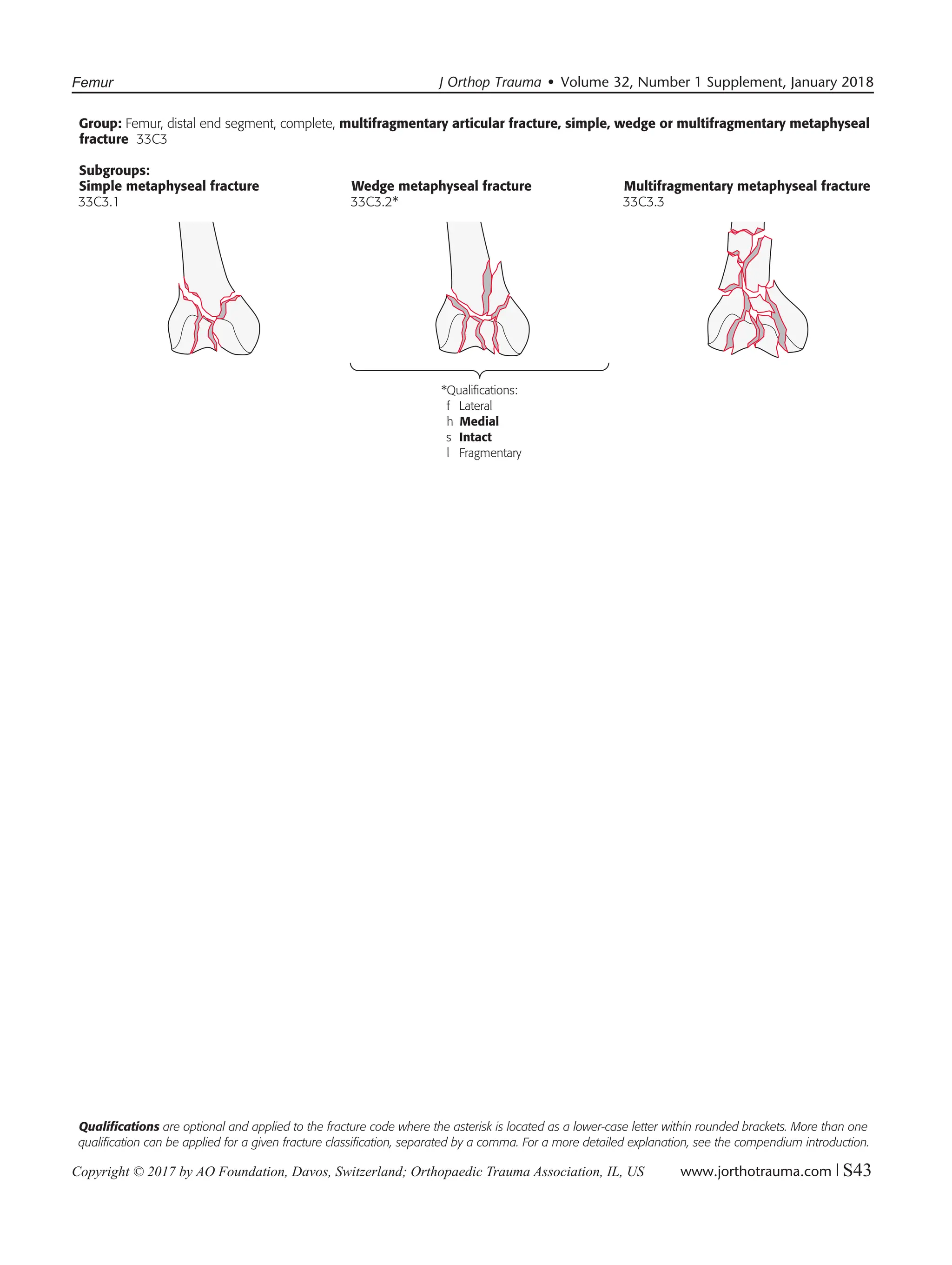AOOTA_Classification_2018_Compendium clasificacion ao de fracturas en ...