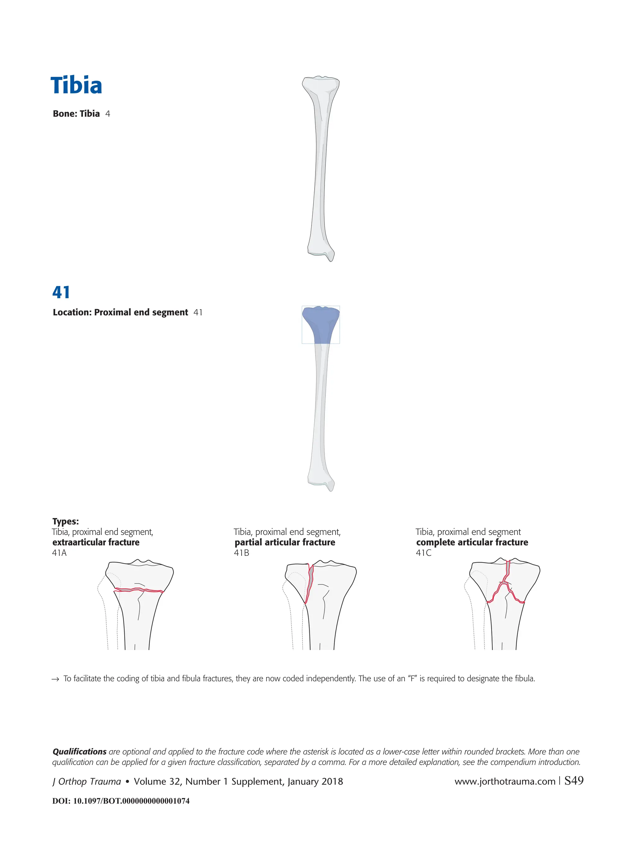 AOOTA_Classification_2018_Compendium clasificacion ao de fracturas en ...