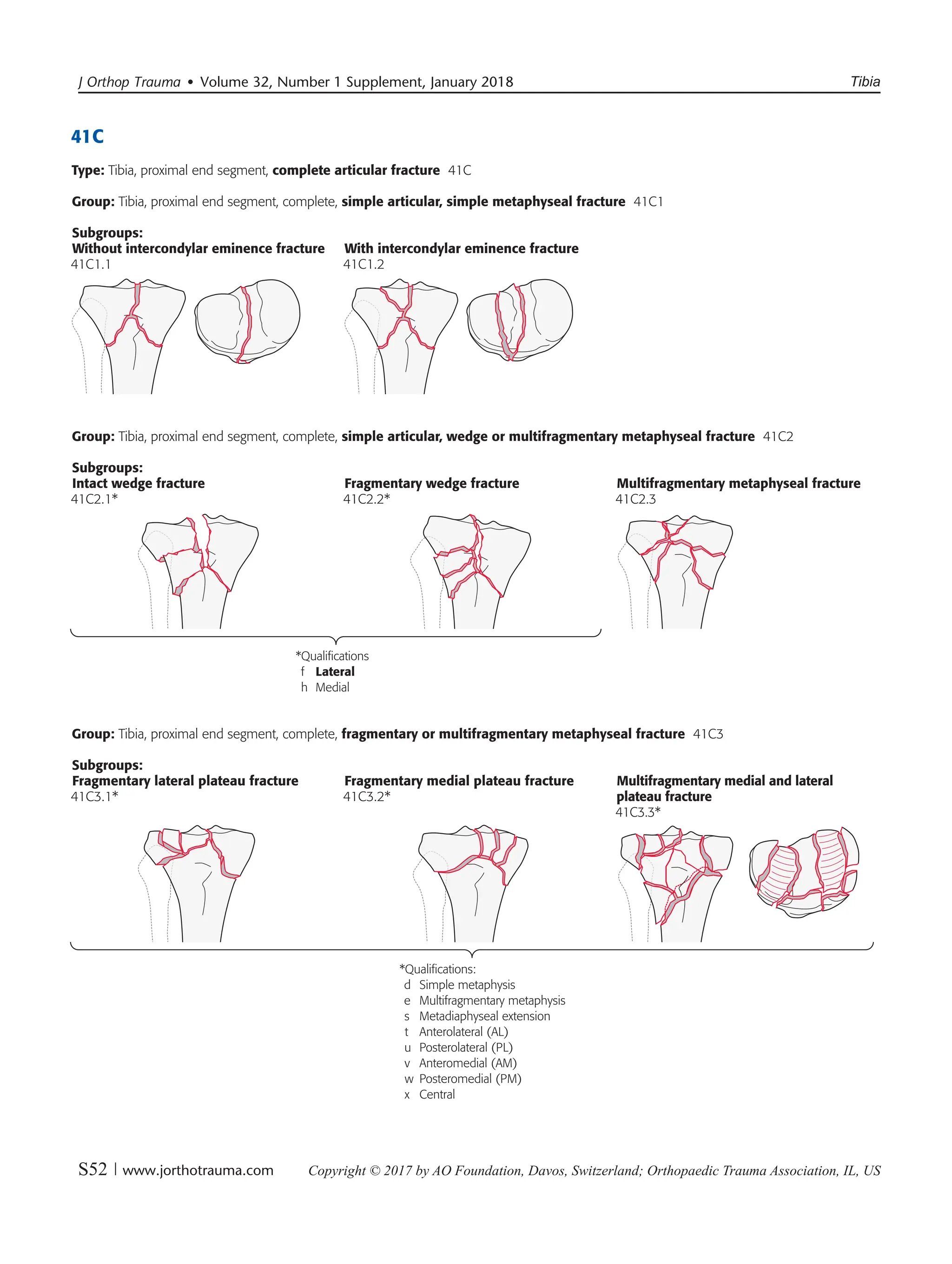 AOOTA_Classification_2018_Compendium clasificacion ao de fracturas en ...