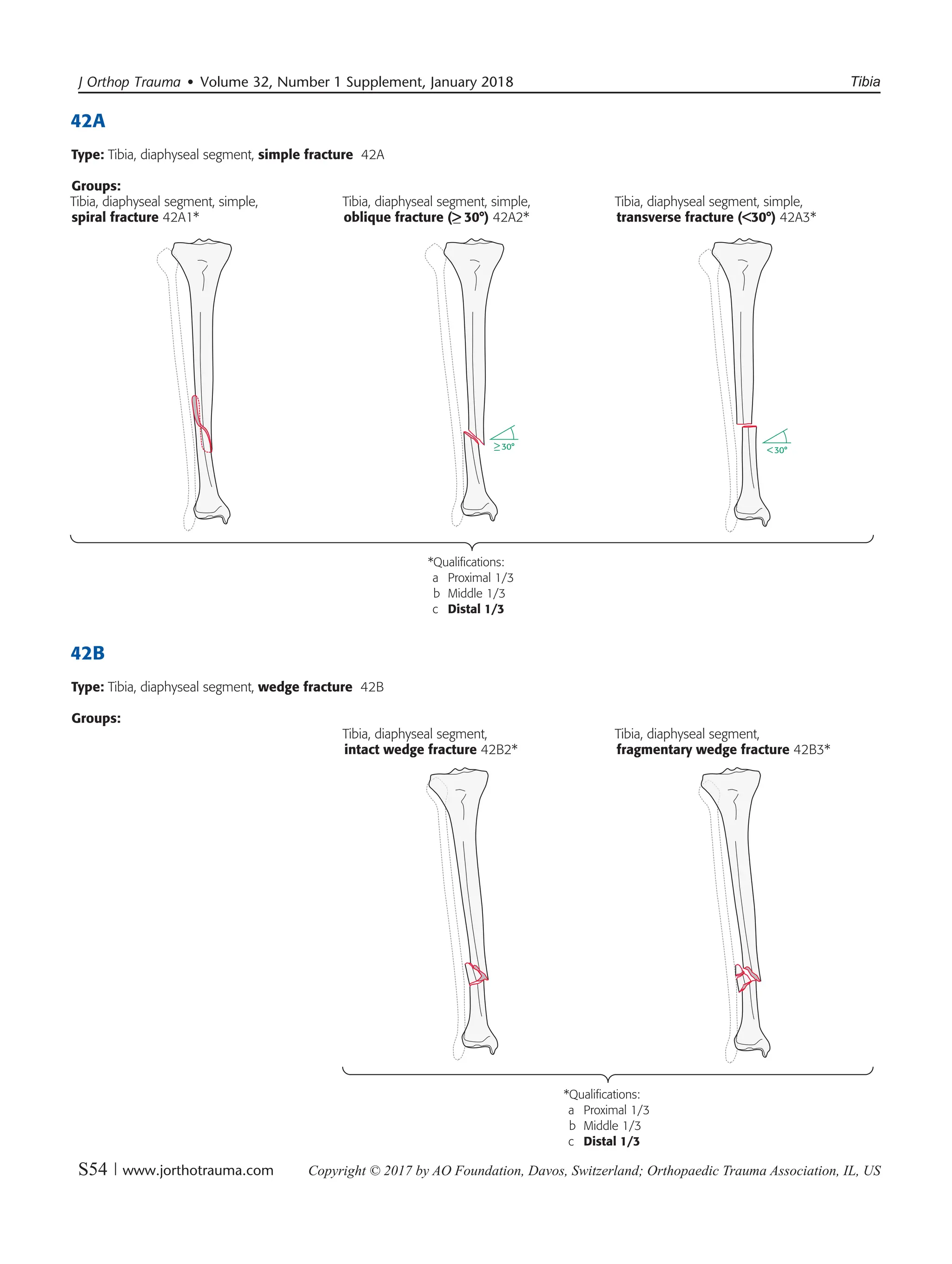 AOOTA_Classification_2018_Compendium clasificacion ao de fracturas en ...